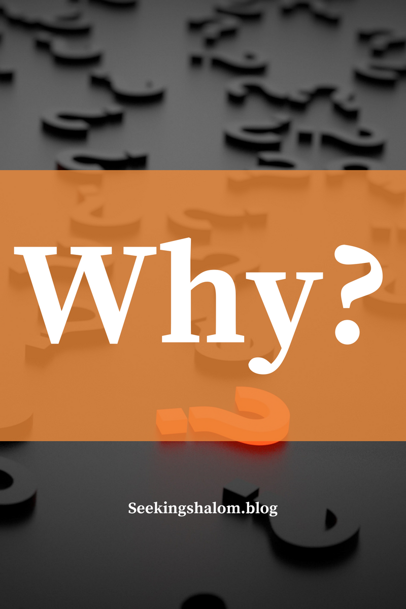 When “why” is silent – That Shalom Life